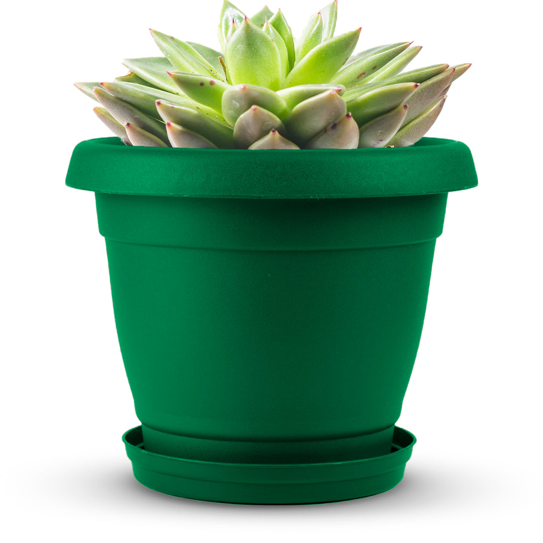 Planter 8" - Classic Line.