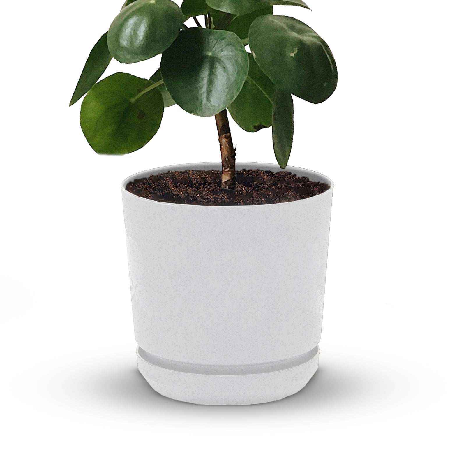 Cylindrical Pot 8" Floral - Artistic Line