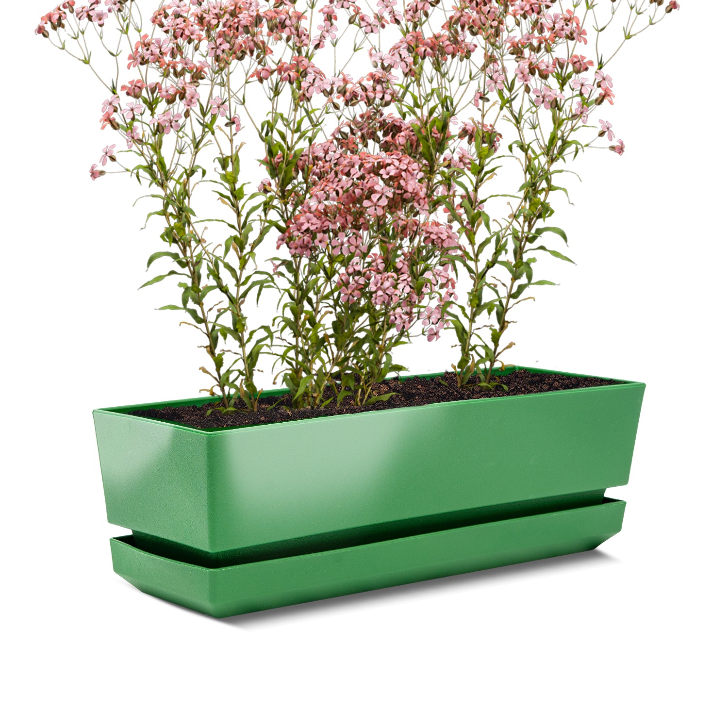 Rectangular Pot 12" L30 Smooth Finish - Artistic Line